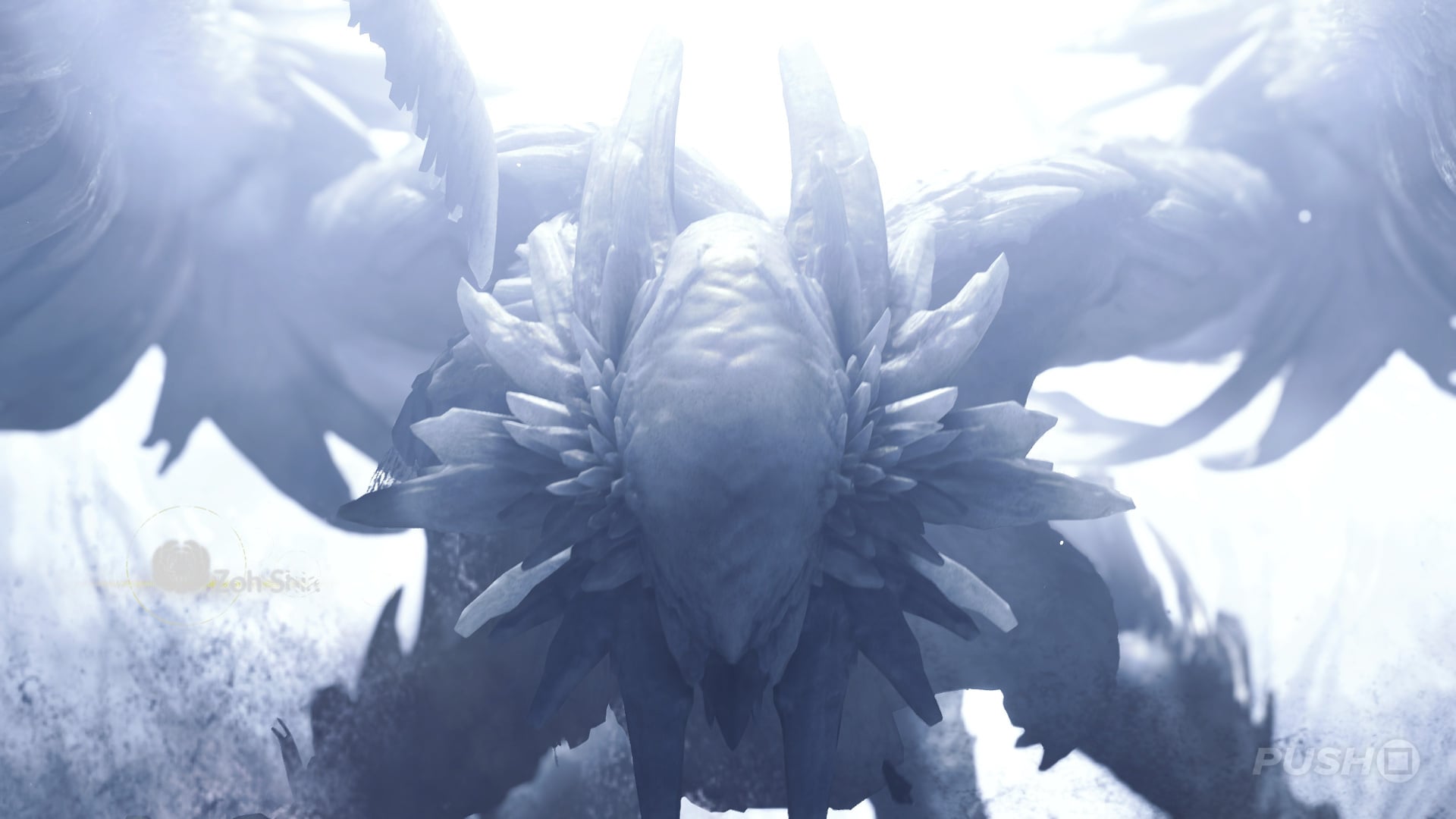 Monster Hunter Wilds: How to Beat Zoh Shia - Weaknesses and Rewards ...