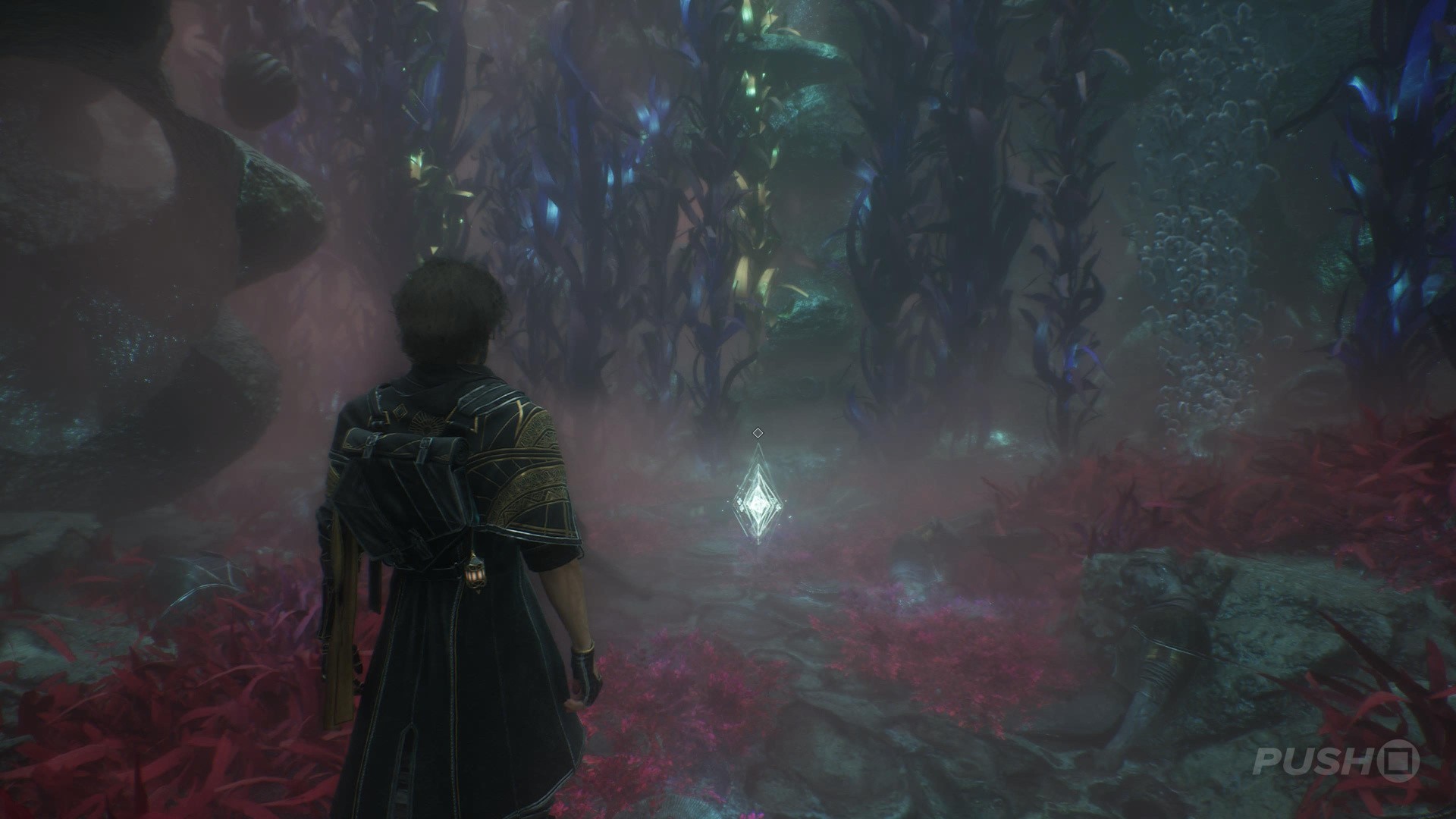 Clair Obscur: Expedition 33: The Small Bourgeon Walkthrough - Journals | Push Square