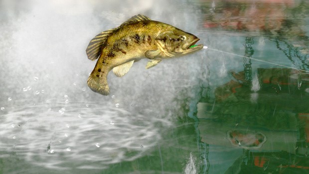 Rapala Pro Bass Fishing Flops into Europe's Net on October 29th | Push ...