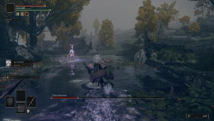 Elden Ring: How to Beat Tibia Mariner | Push Square