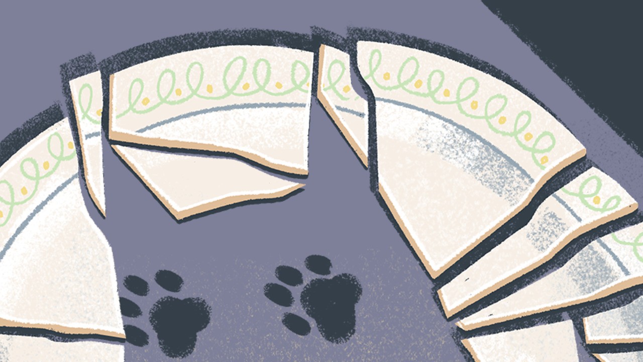 A Little to the Left (2024) | PS4 Game | Push Square