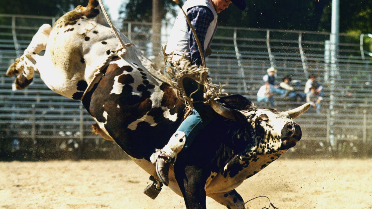 We Rustle Up Some Information on Top Hand Rodeo Tour | Push Square