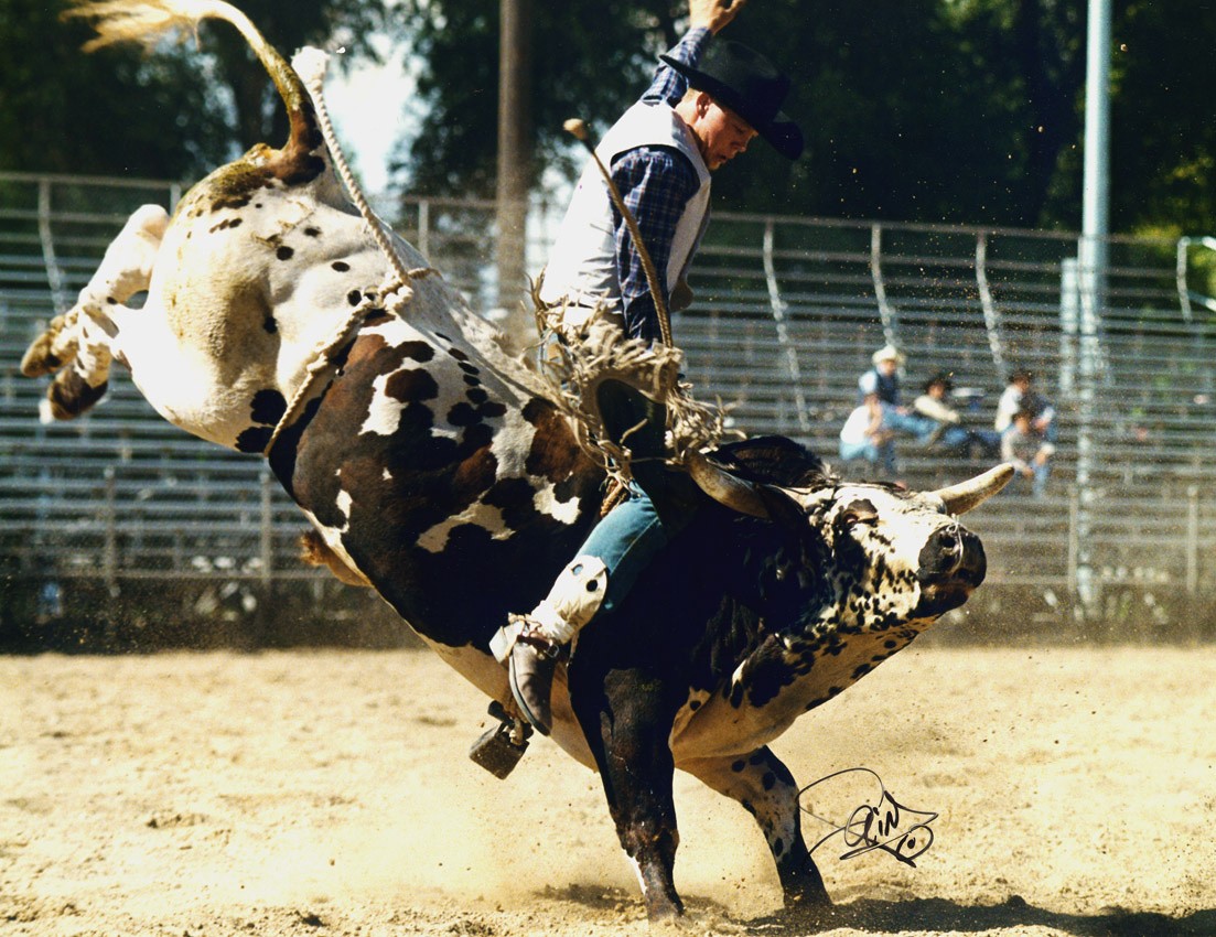 We Rustle Up Some Information on Top Hand Rodeo Tour | Push Square