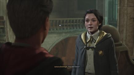 Hogwarts Legacy: Like a Moth to a Frame Walkthrough | Push Square