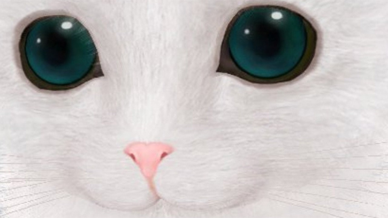 Aabs Animals (PS3 / PlayStation 3) Game Profile | News, Reviews, Videos ...